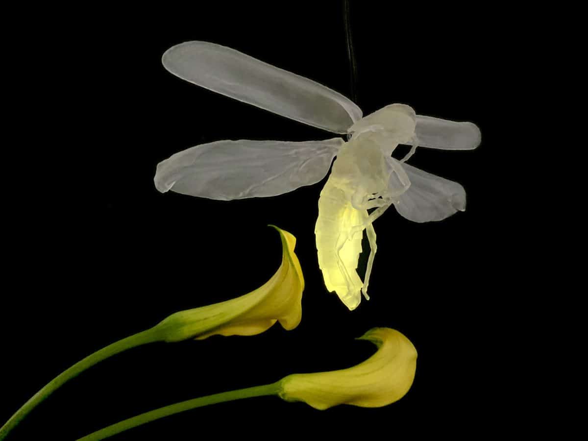 Firefly Lamp: Add a Touch of Grace to Your Home's Lighting