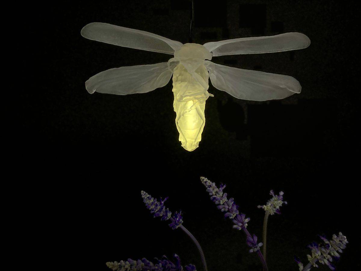 Firefly Lamp: Add a Touch of Grace to Your Home's Lighting