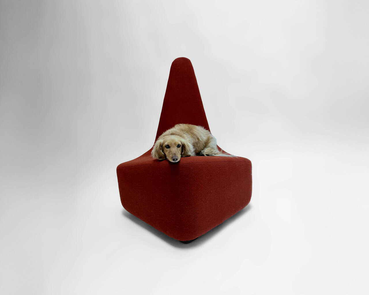 HAD CSTM - Harry Allen Design